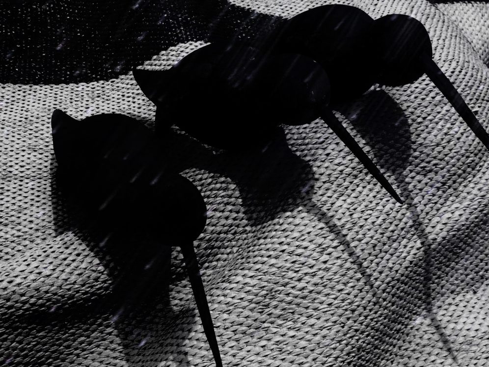 Trigger Warning: Efferent, Flaming Creatures